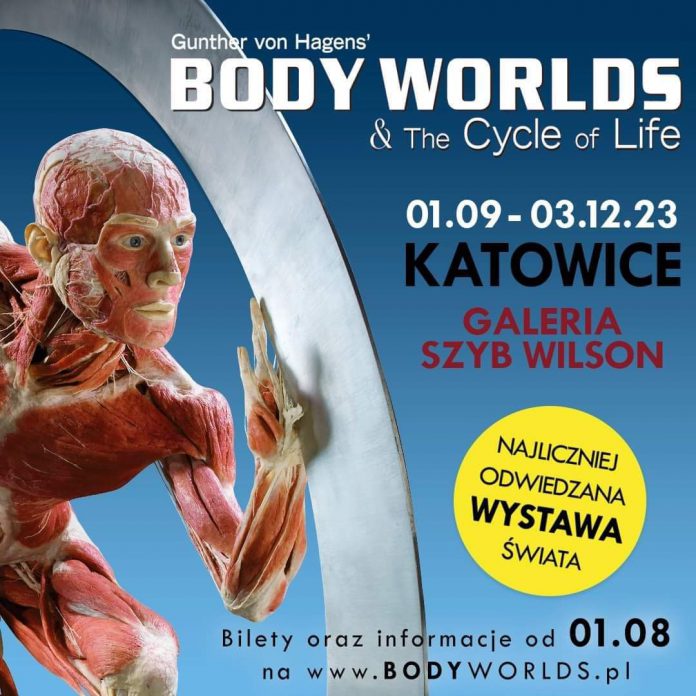 Katowice: Wystawa BODY WORLDS & The Cycle of Life już od 1 września ...